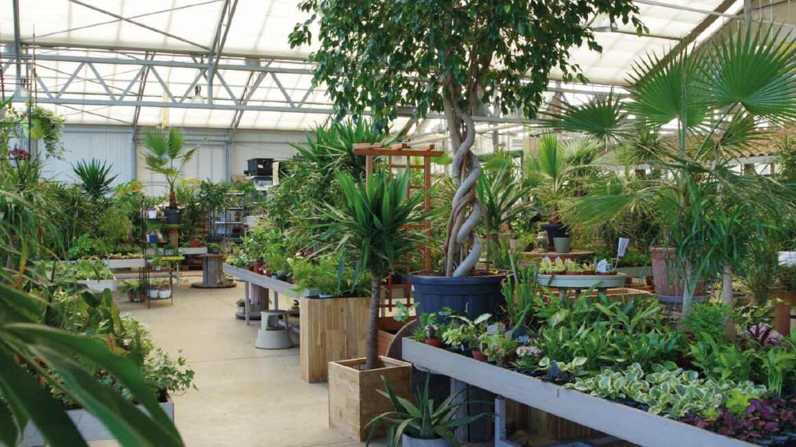 Une jardinerie extraordinaire où la nature est à portée de main